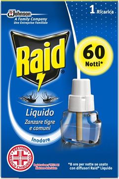 Reginato Fratelli store. RAID