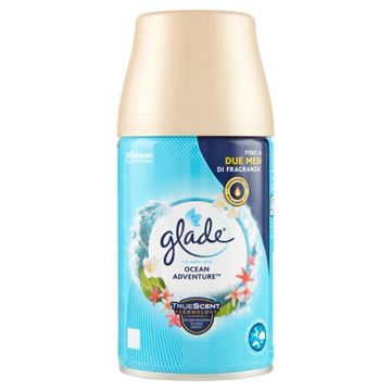 Reginato Fratelli store. Products tagged with 'glade'